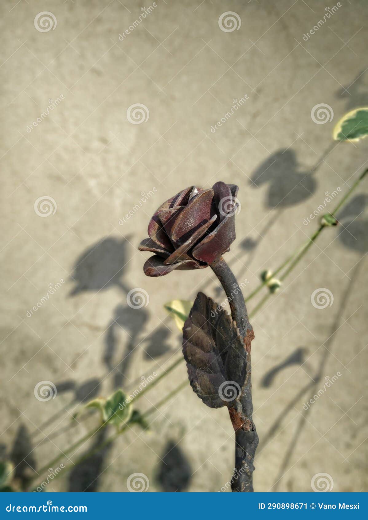 Iron rose in the sunlight stock image. Image of metal - 290898671