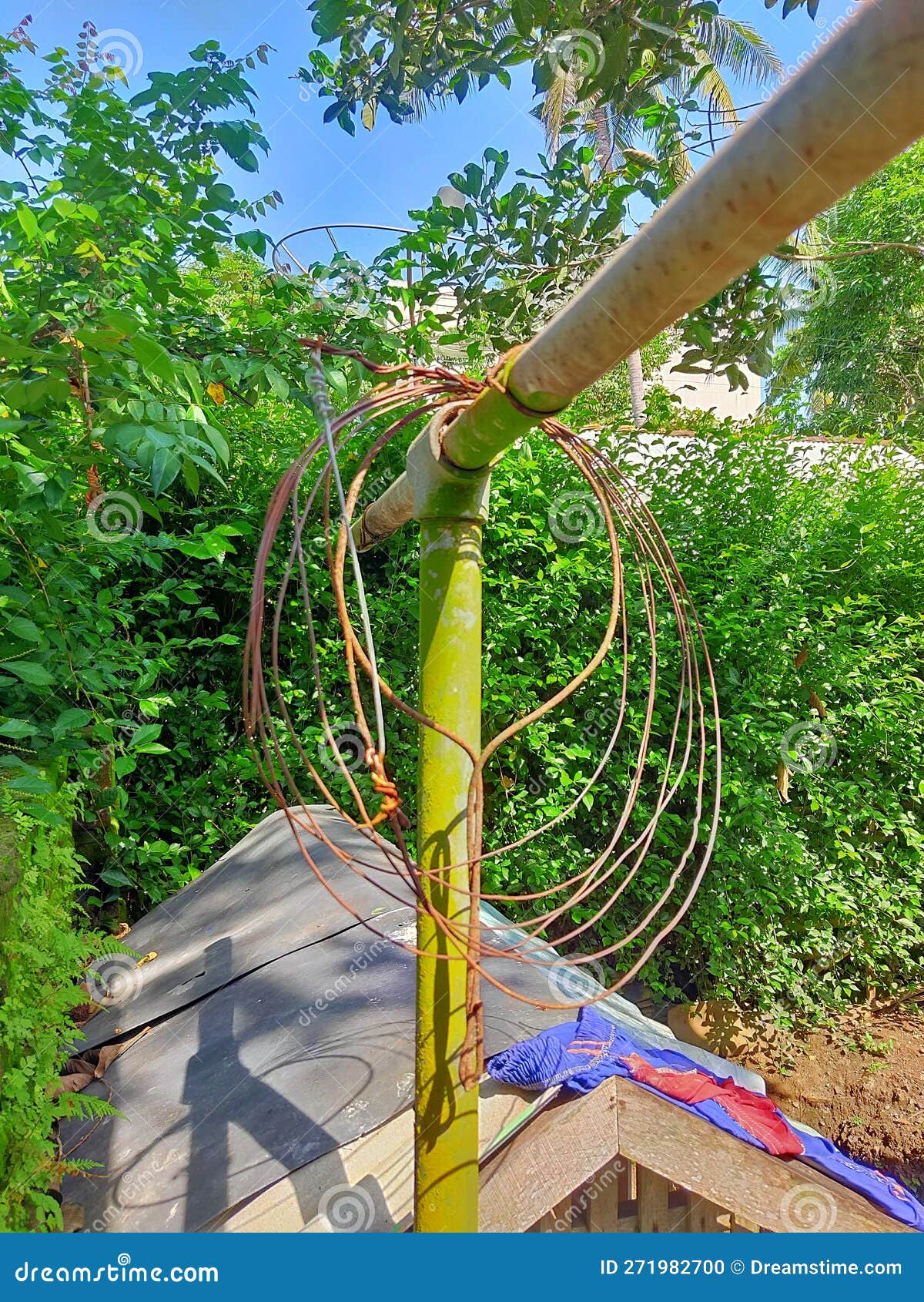Iron, Rusty Wire, Chicken Coop with Hedge Plant Background Stock Photo ...