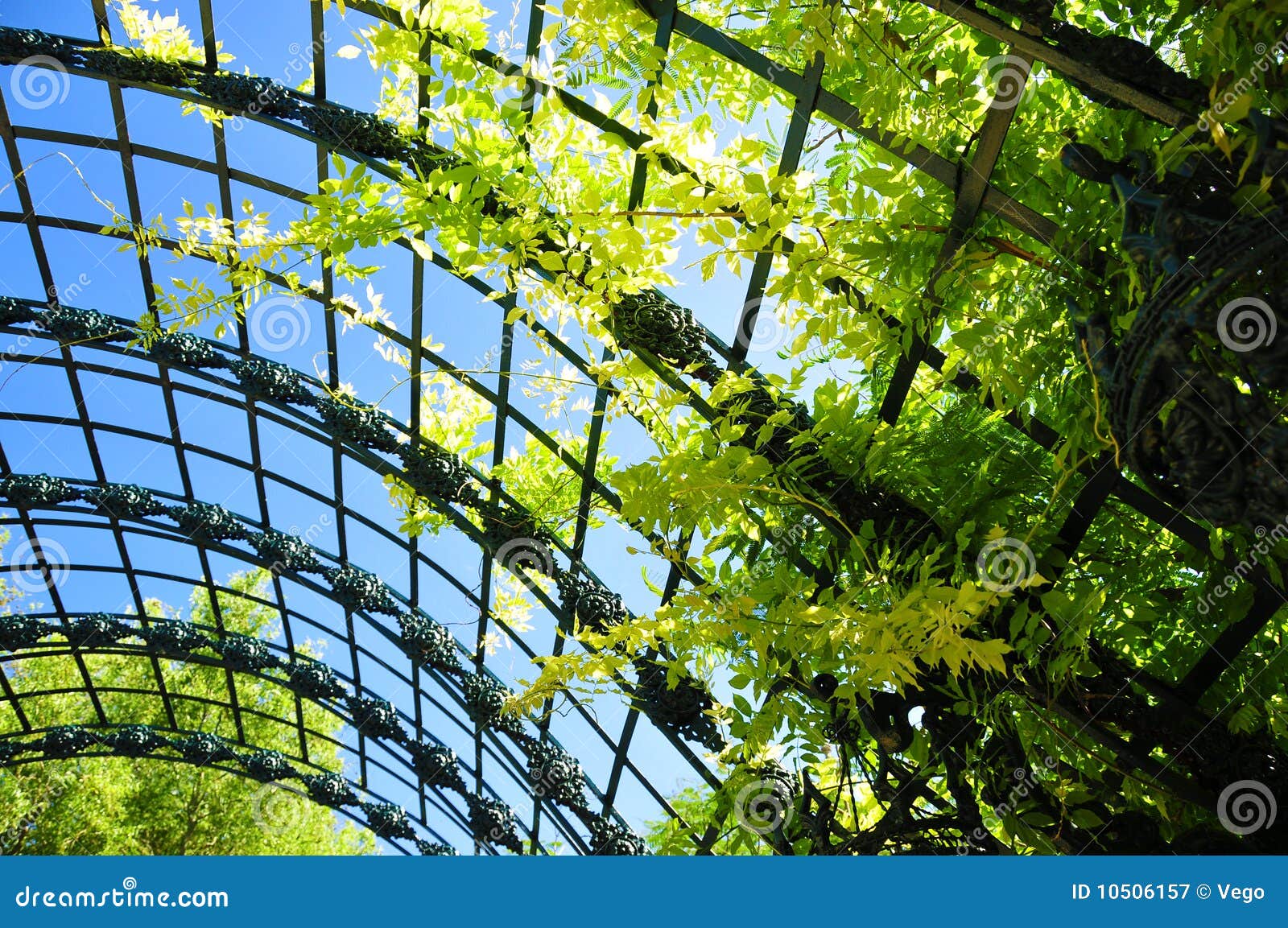 Iron Scrollwork roof stock image. Image of pattern, ironwork - 10506157