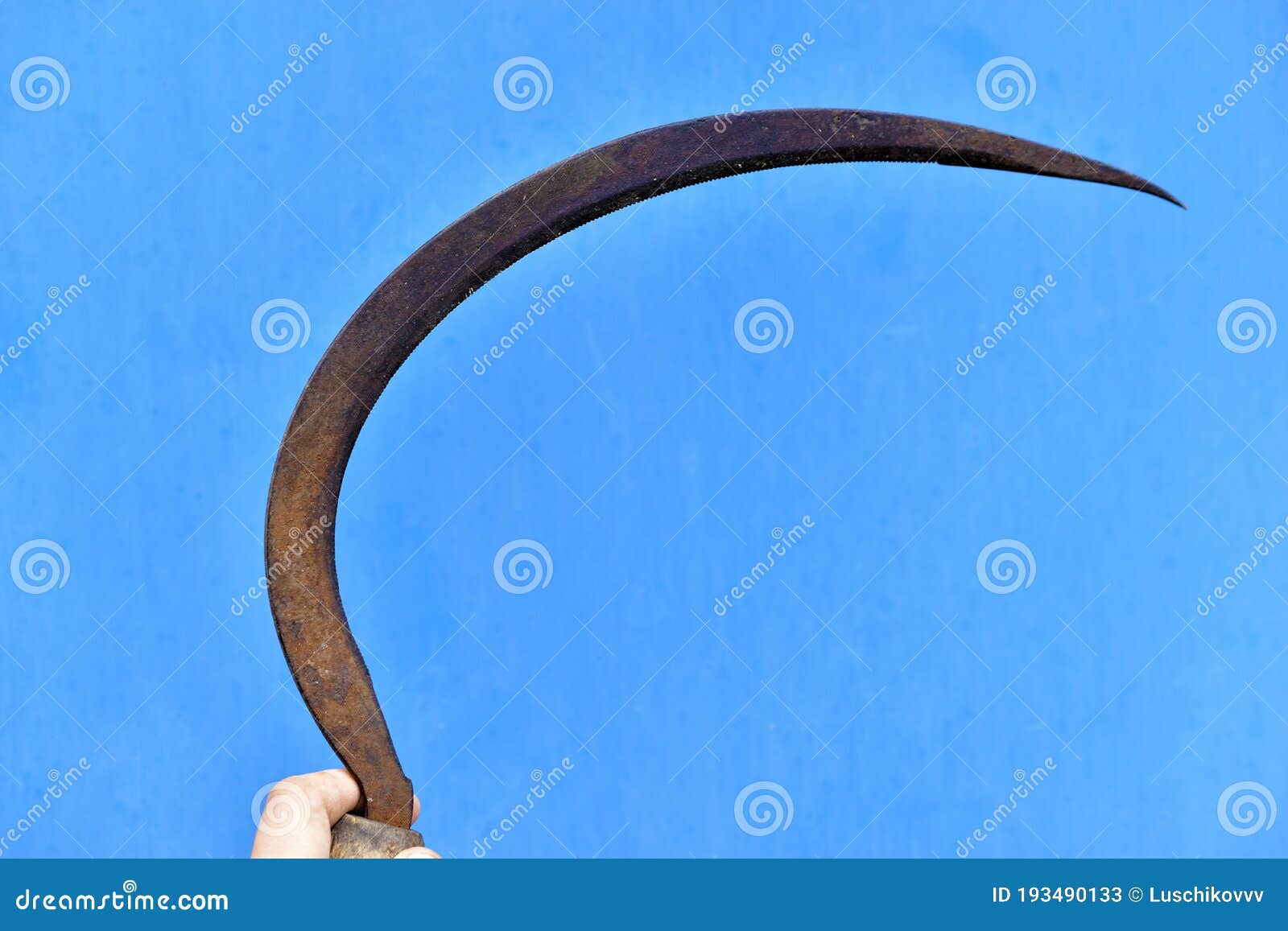 The Old Sickle And Hand Of Man And In A Rice Field. Harvesting ...