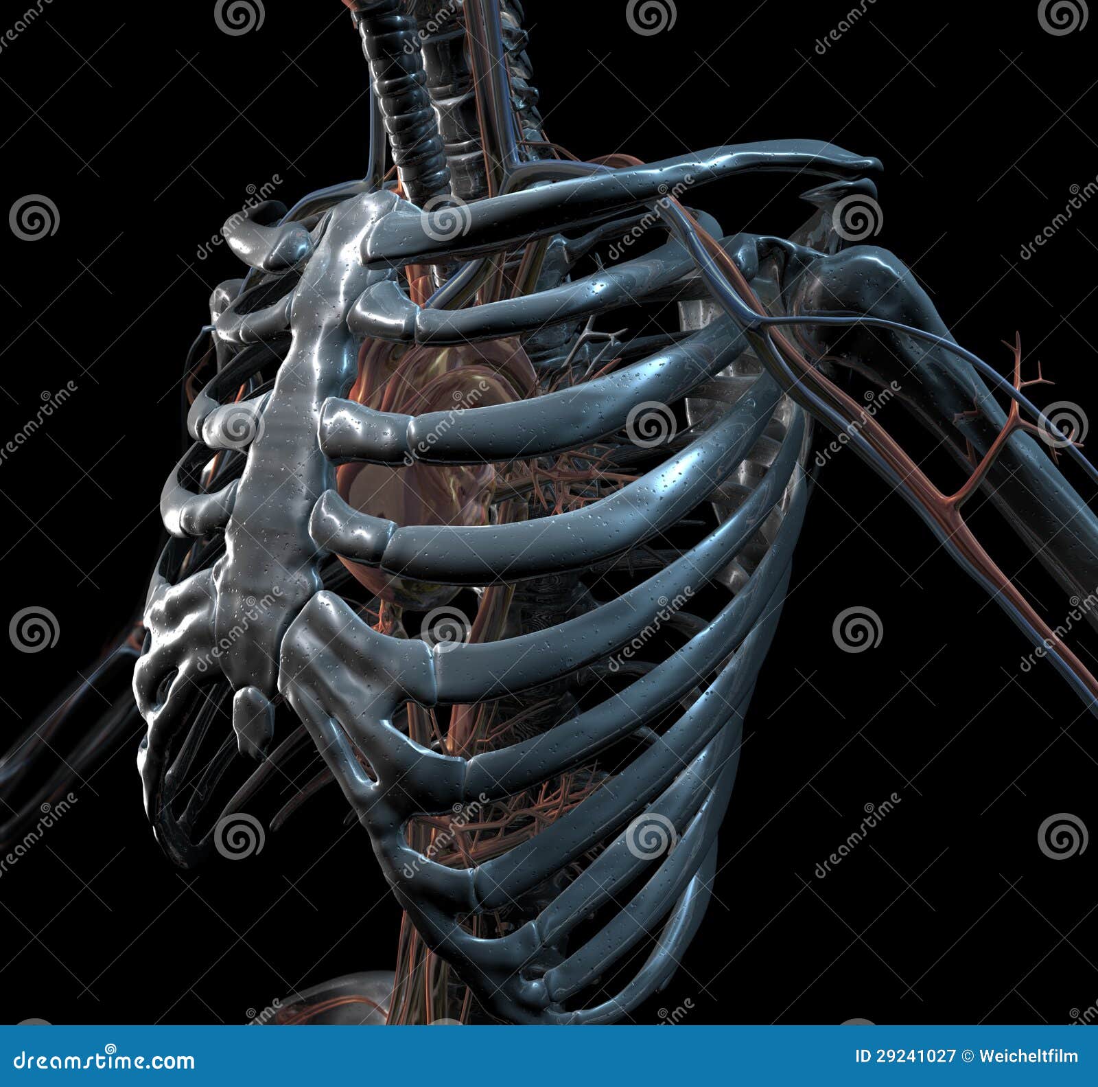Iron Skeleton stock illustration. Illustration of skeleton - 29241027
