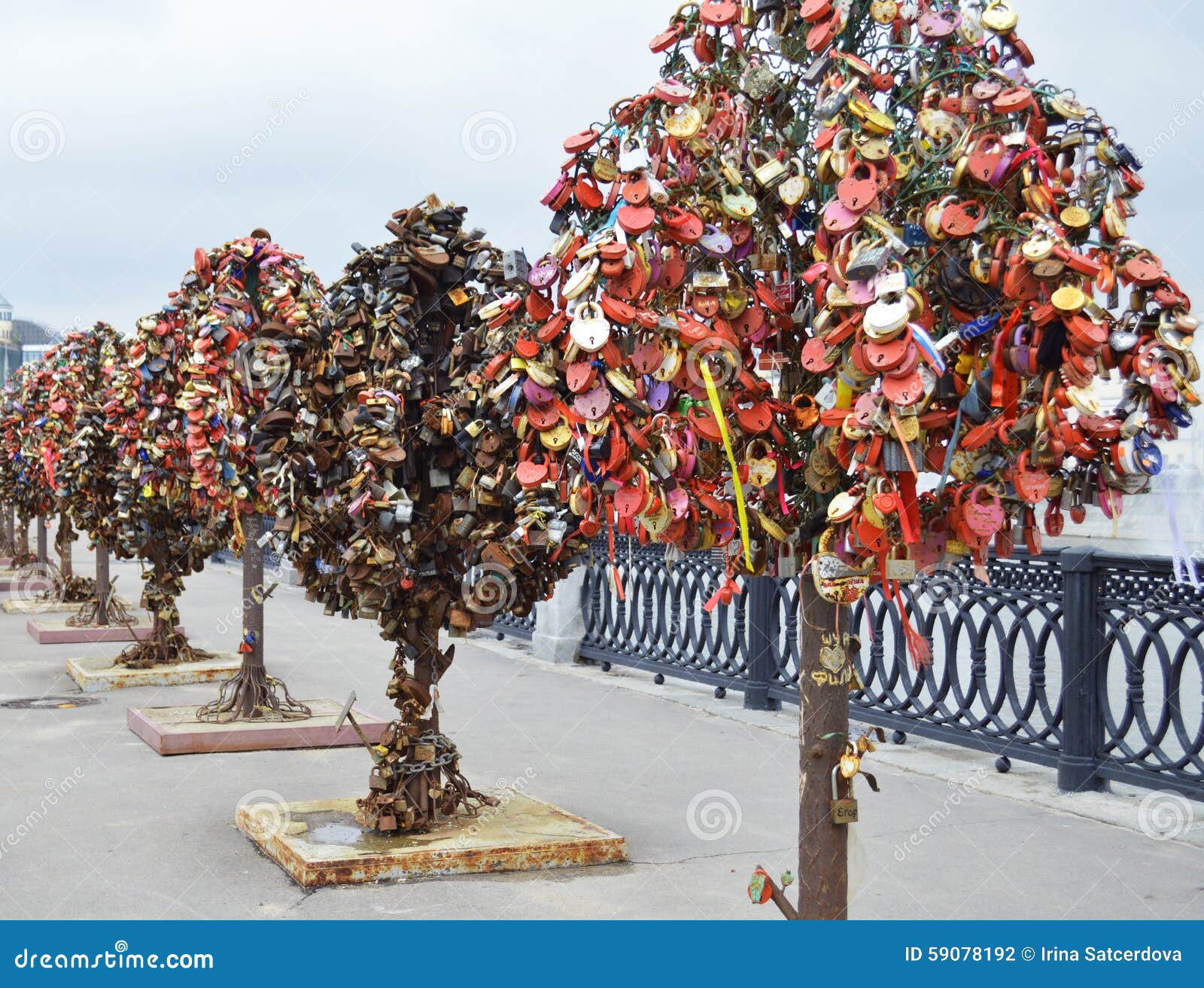 Iron trees with locks stock photo. Image of background - 59078192