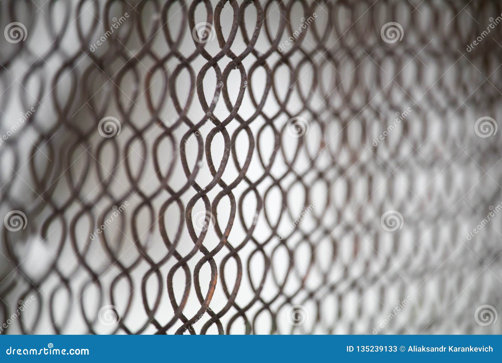 Iron Wire Mesh Fence on White Background. Mesh Netting Galvanized ...