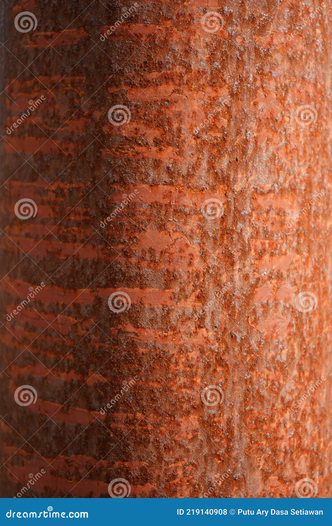 Iron Wood stock photo. Image of trunk, textures, flooring - 219140908