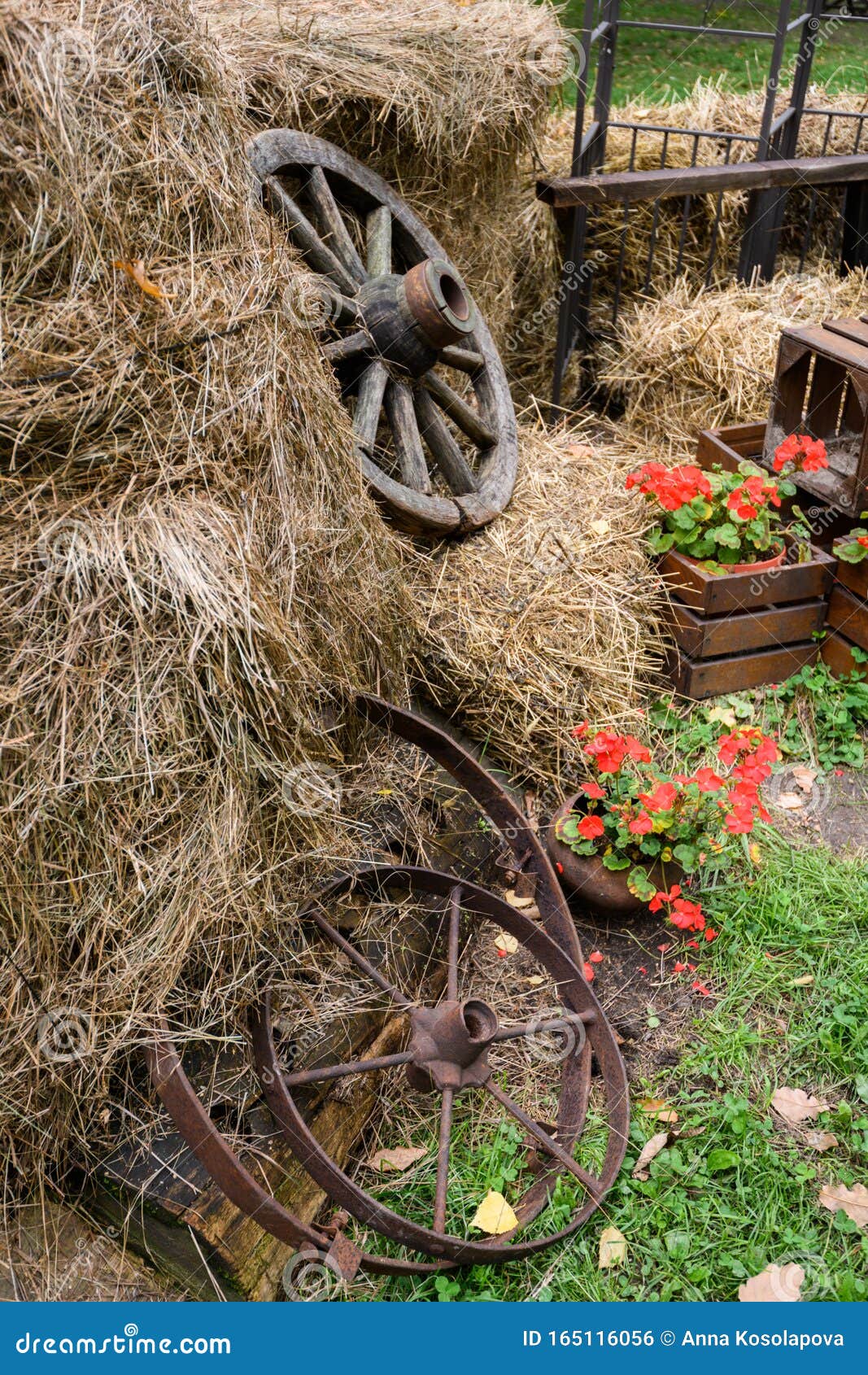 Iron and Wooden Wheels on Hay Outdoors Stock Photo - Image of village ...