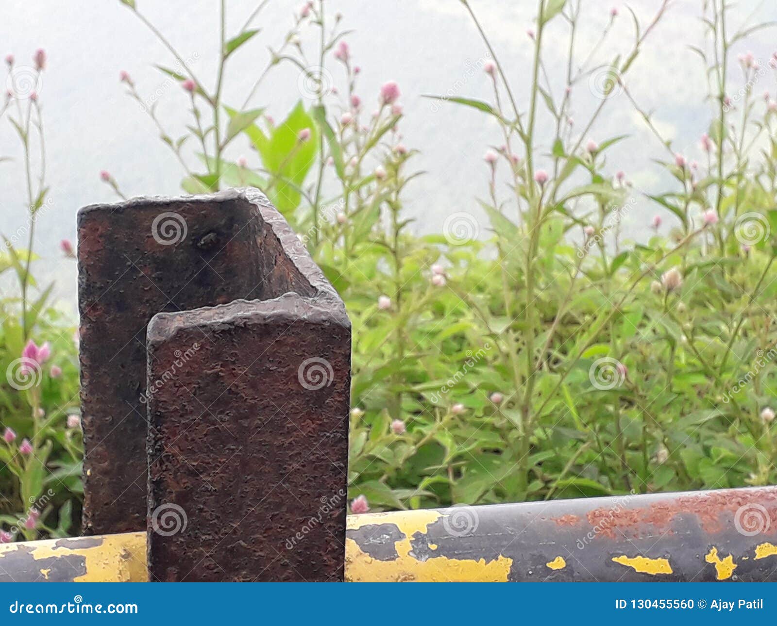 The irony stock photo. Image of iron, funtime, greenery - 130455560