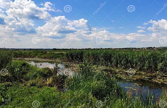 The Irpen River Flows through the Fields Stock Image - Image of summer ...