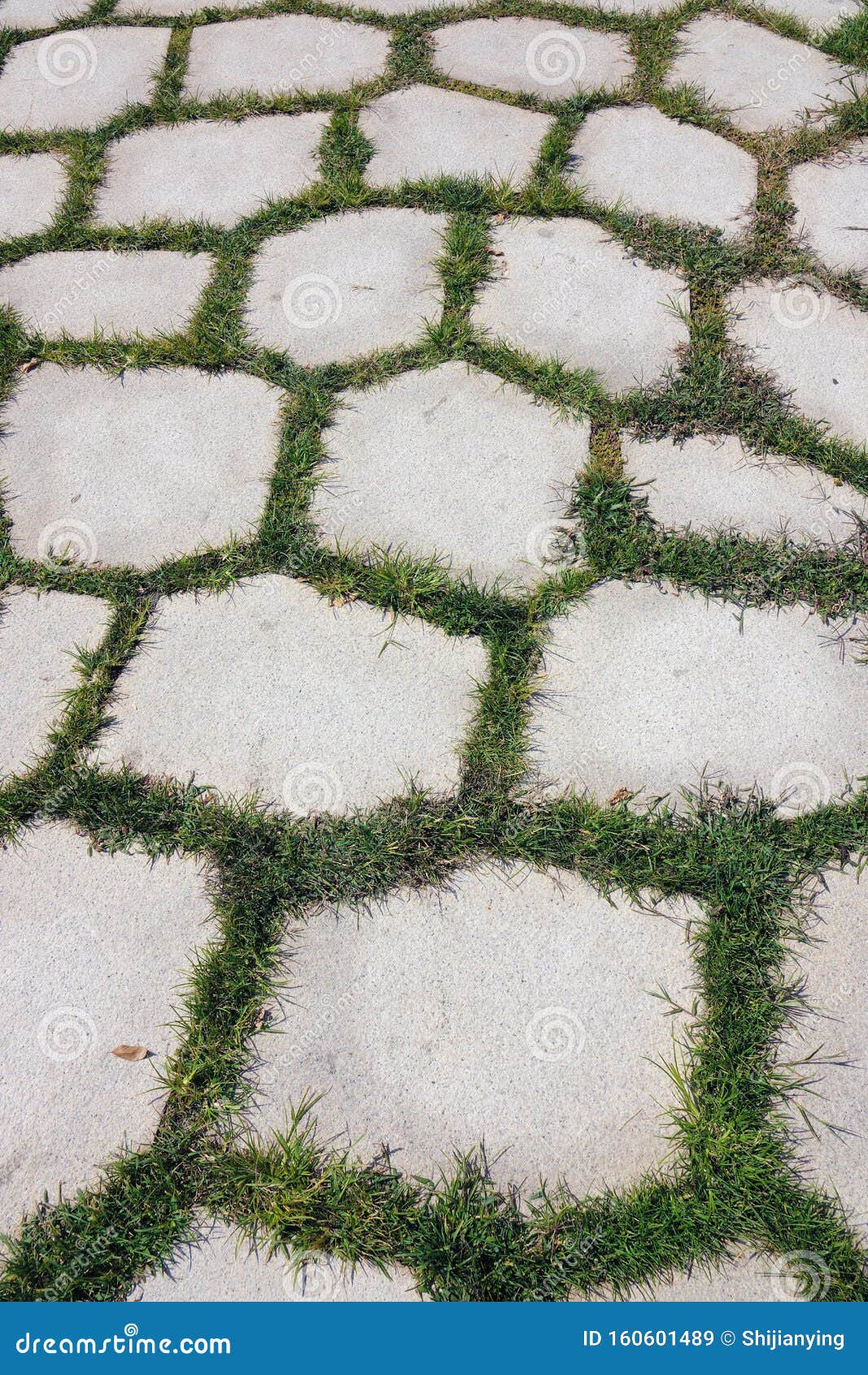 Flagstone road stock image. Image of garden, grass, irregular - 160601489