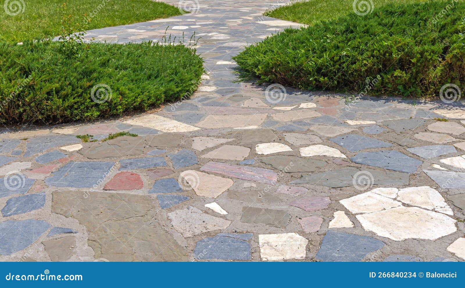 Irregular Garden Tiles stock photo. Image of tiles, stone - 266840234