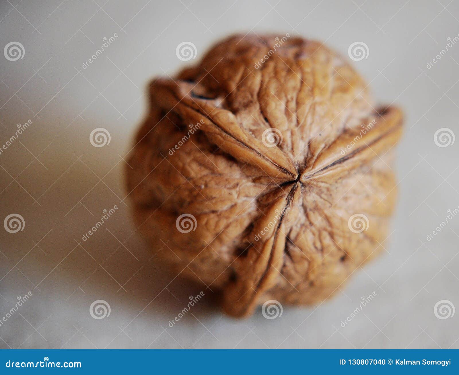 Irregular Nut Shell with Triplicated Symmetry Stock Photo - Image of ...