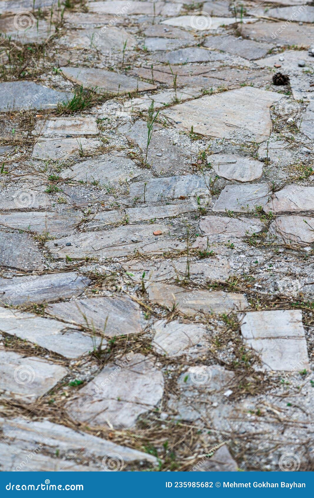 Irregular Paving Stones in a Park. Stone Paving. Stock Photo - Image of ...