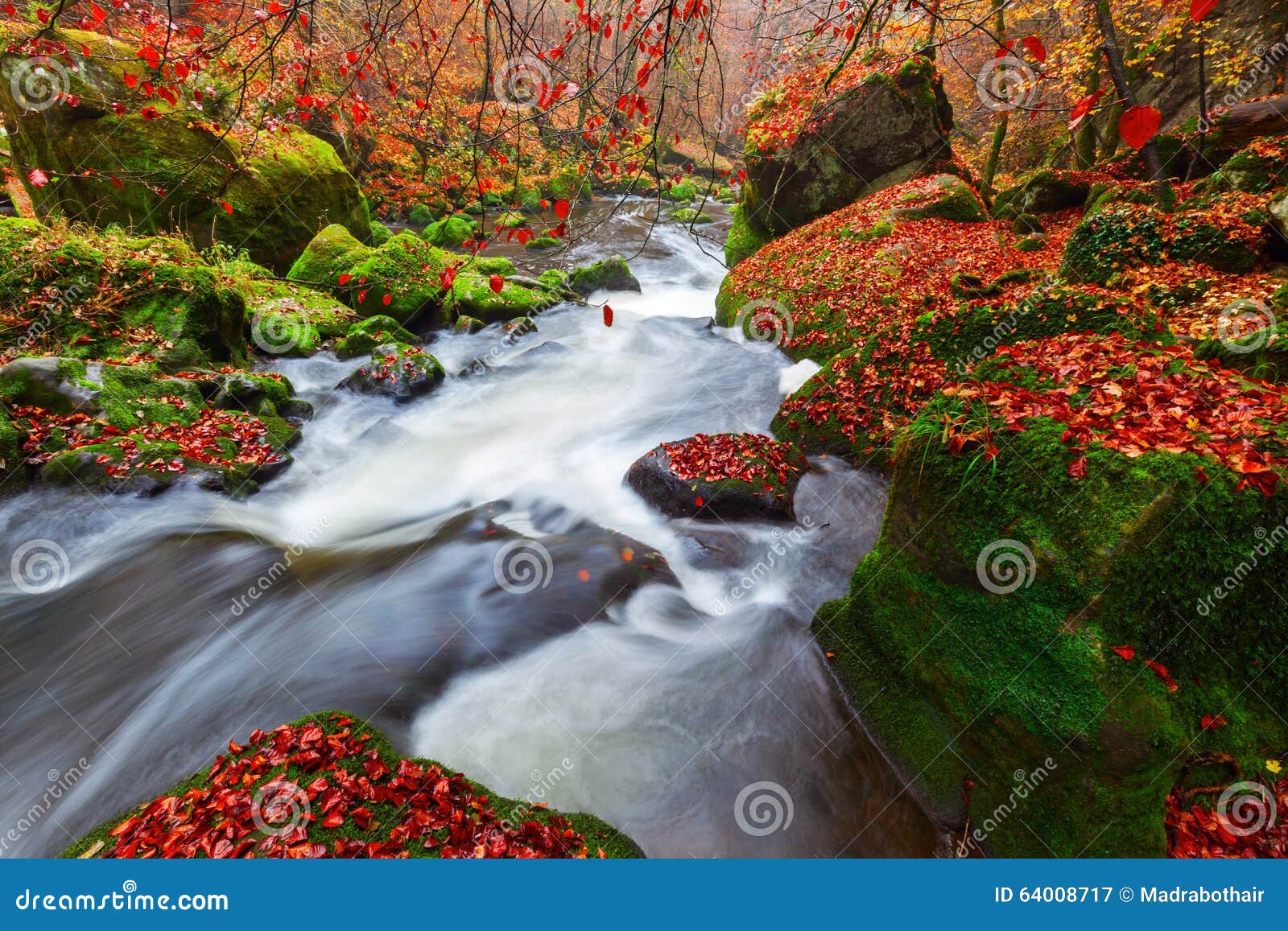 Irrel Cascades at River Pruem in Eifel, Germany Stock Image - Image of ...