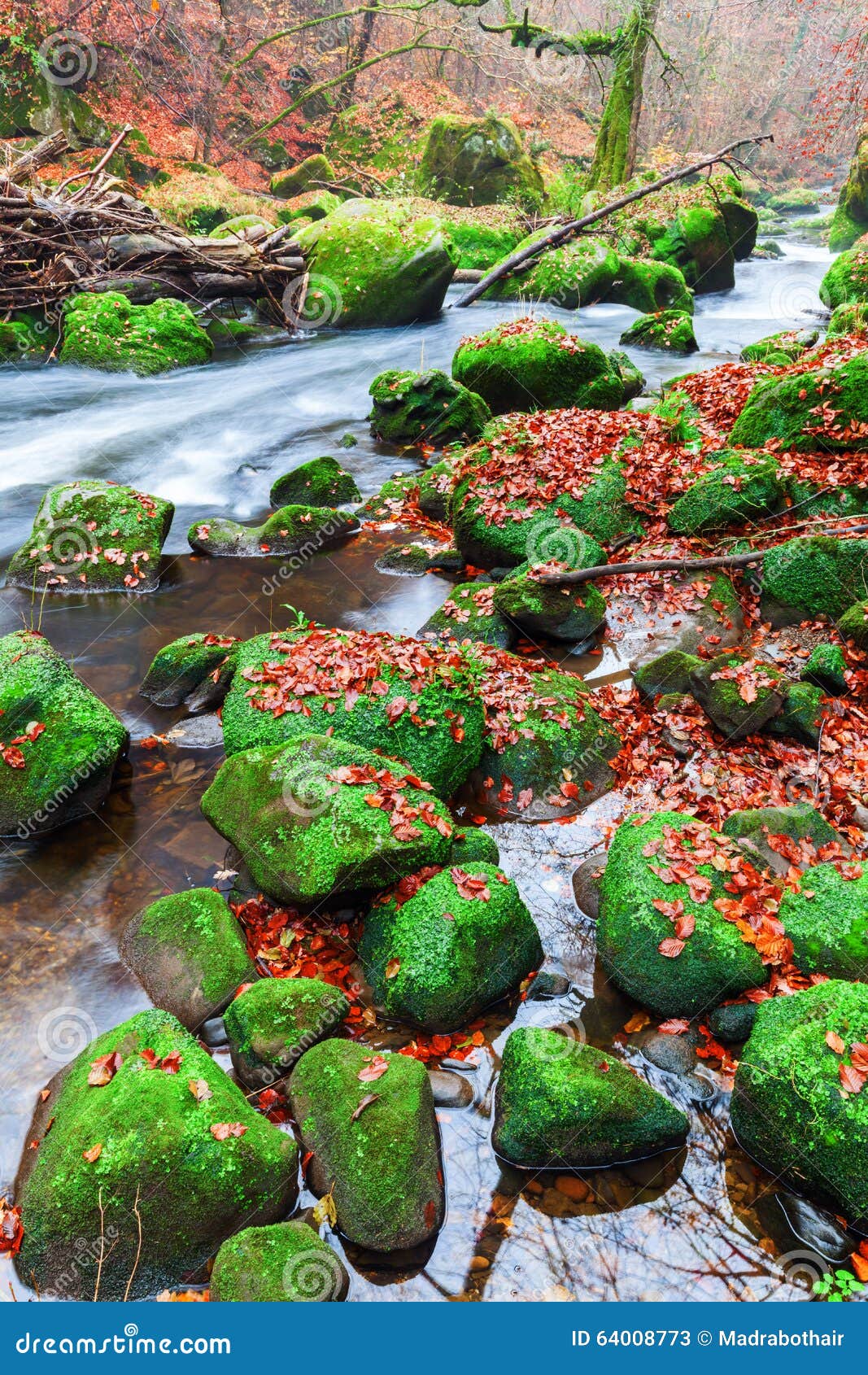 Irrel Cascades at River Pruem in Eifel, Germany Stock Image - Image of ...