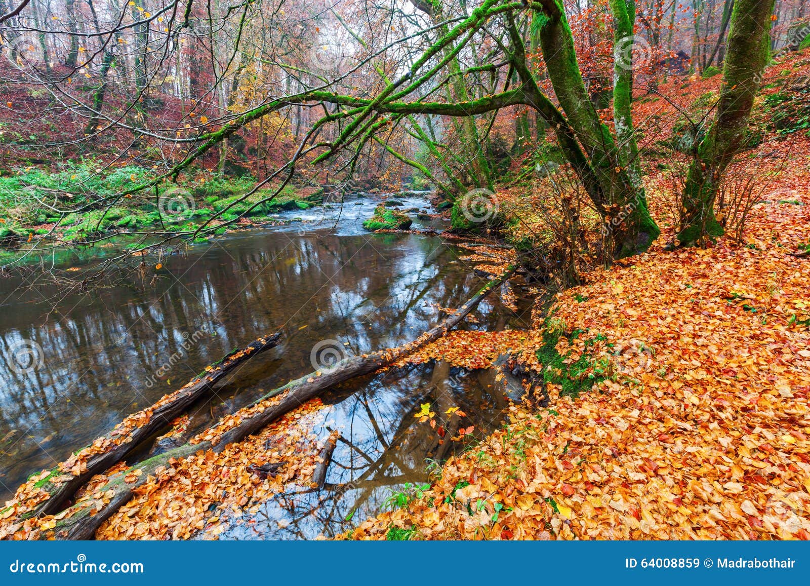 Irrel Cascades at River Pruem in Eifel, Germany Stock Image - Image of ...