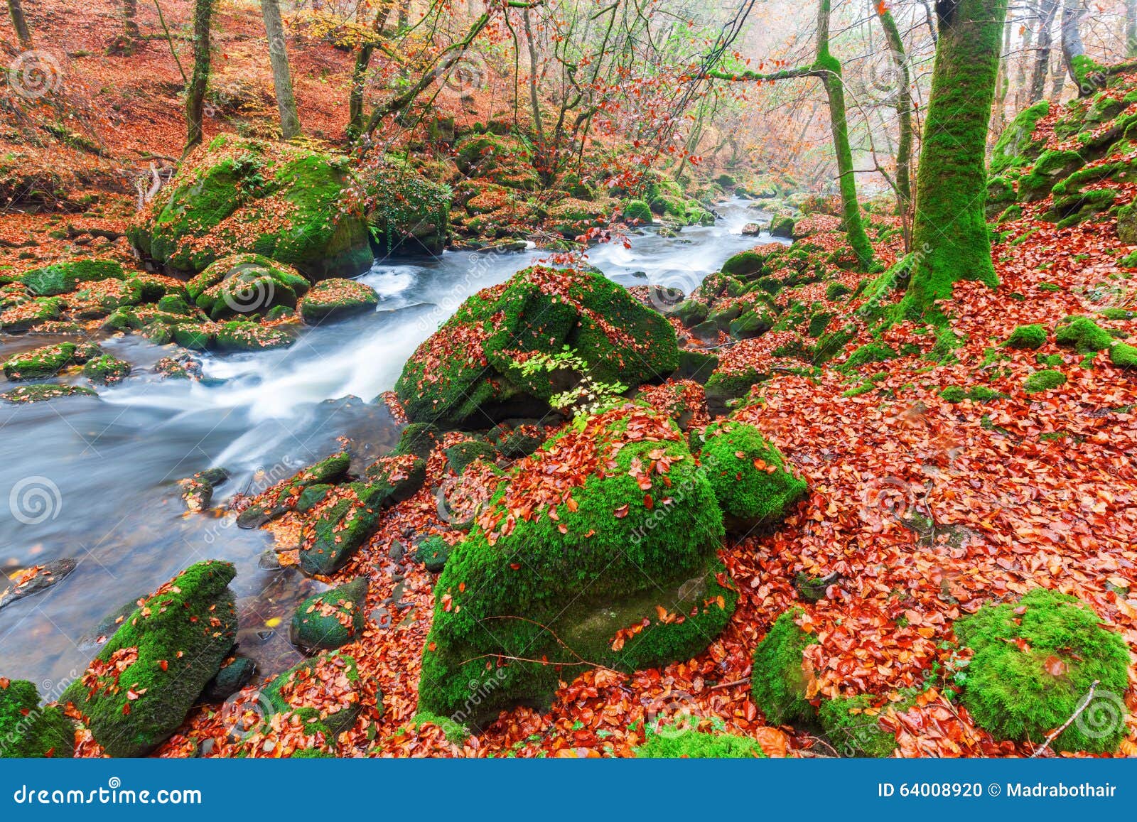 Irrel Cascades at River Pruem in Eifel, Germany Stock Photo - Image of ...
