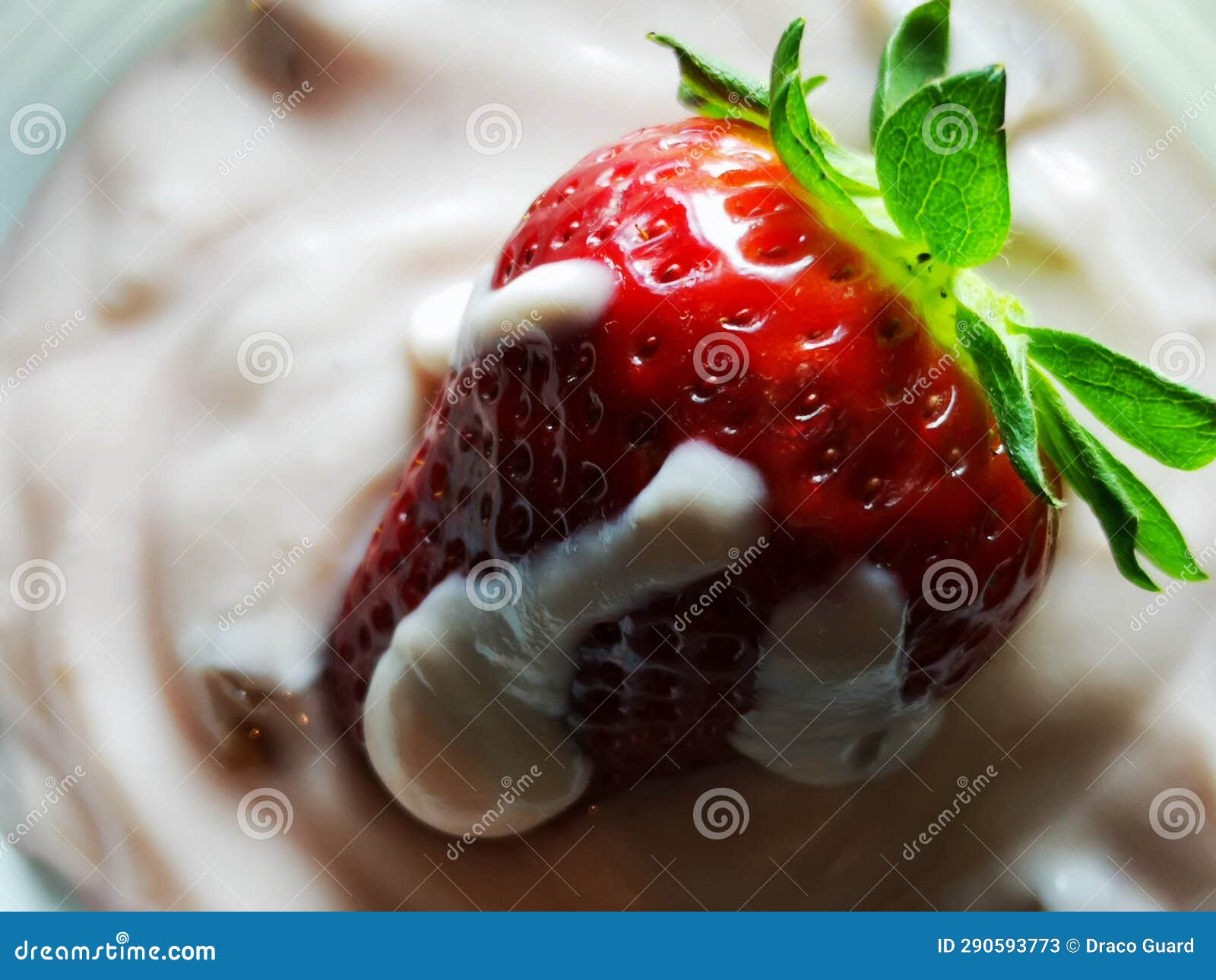 Irresistible Temptation_Red Strawberry and Cream in Sunlight Stock ...