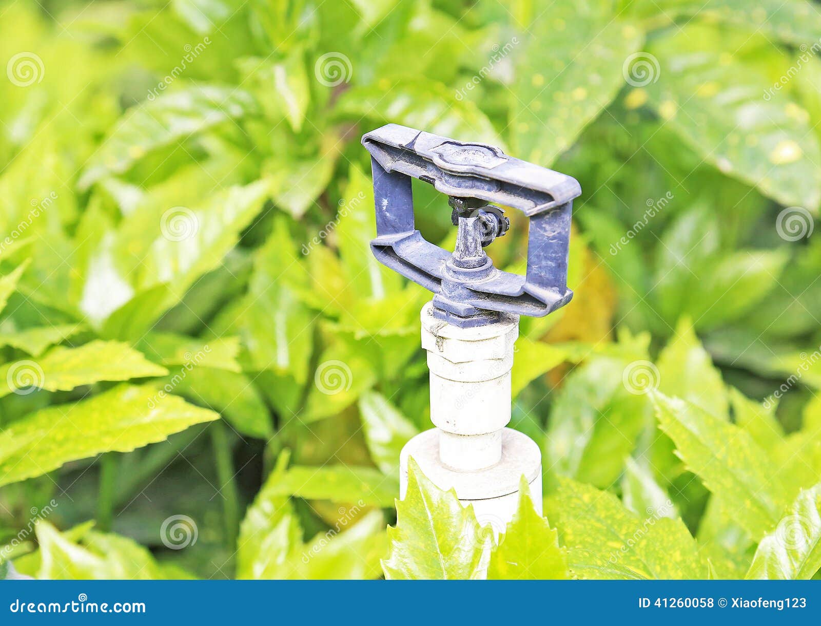 Irrigate equipment stock photo. Image of lawn, home, sprinkler - 41260058