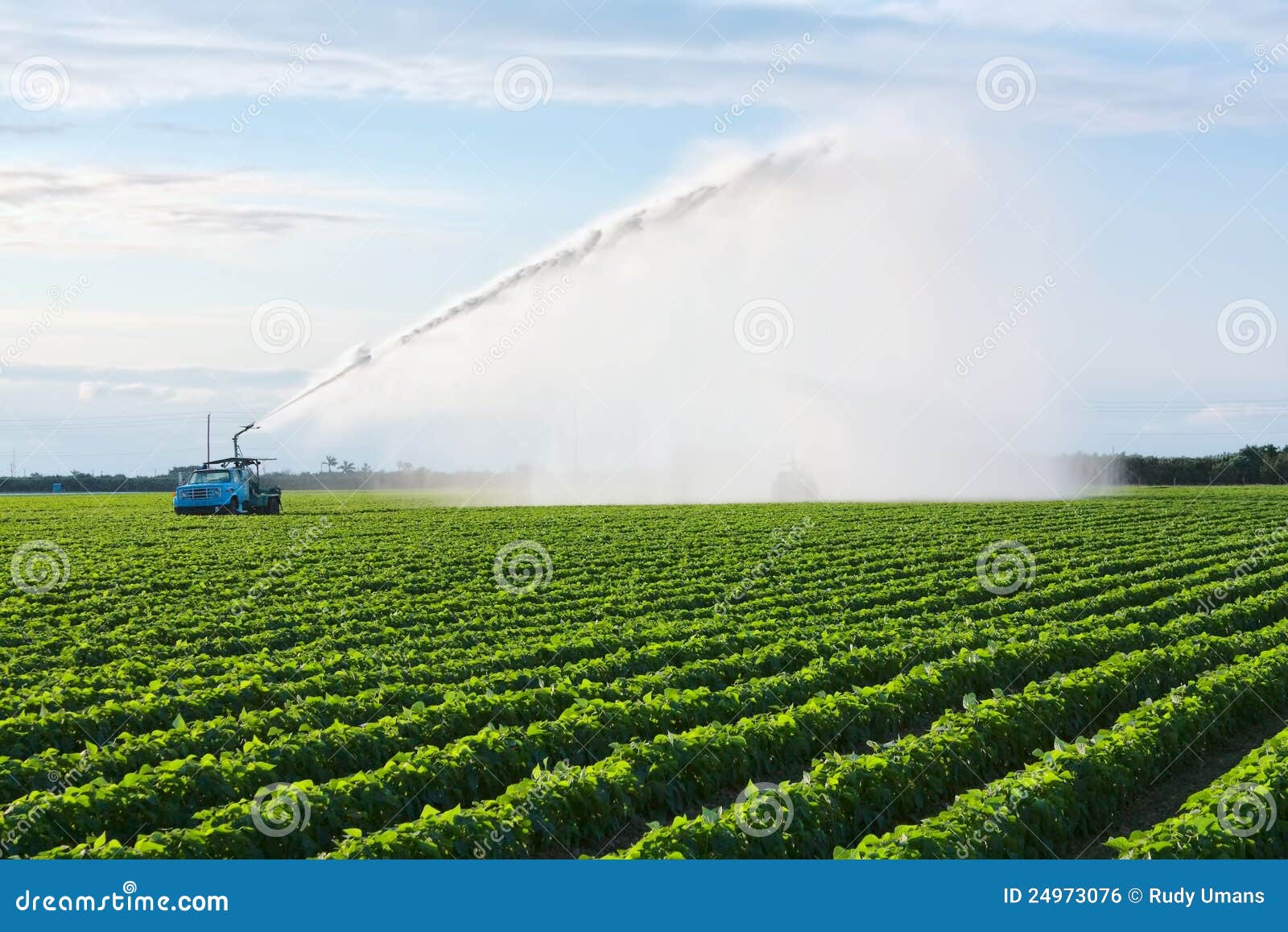 Irrigatie Van Landbouwgrond Stock Foto - Image of industrie, zorg: 24973076