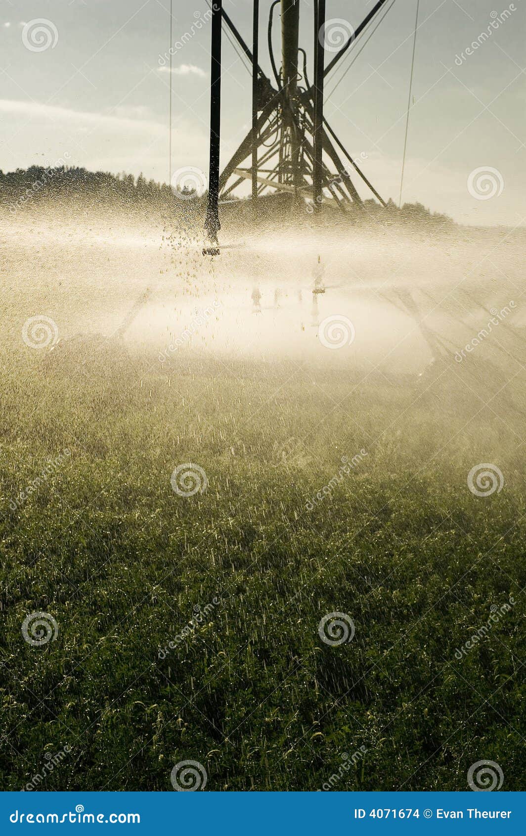 Irrigating crops stock photo. Image of field, cultivation - 4071674