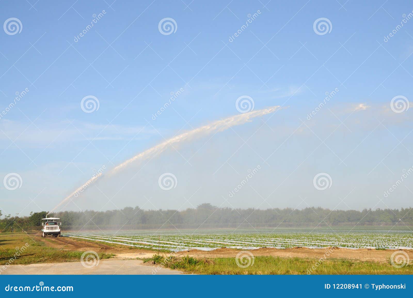 Irrigating a Field, Florida Stock Image - Image of agriculture, pump ...