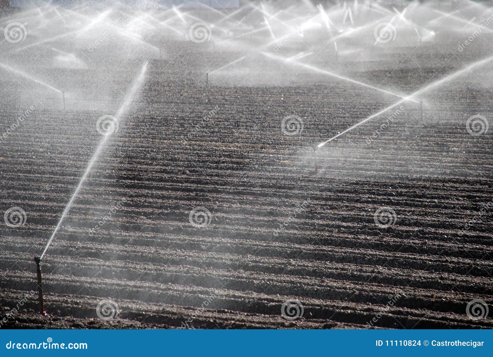 Irrigating Fields stock photo. Image of patterns, outdoors - 11110824