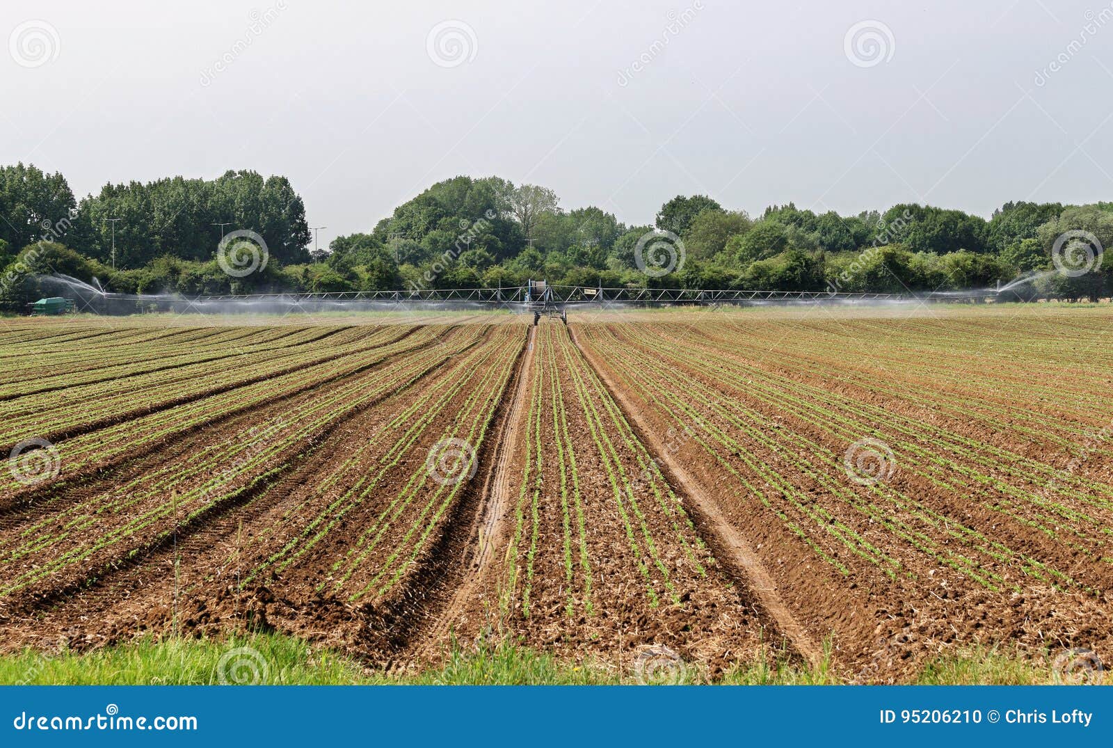 Irrigating Machine Watering a Field of Seedling Crops Stock Photo ...