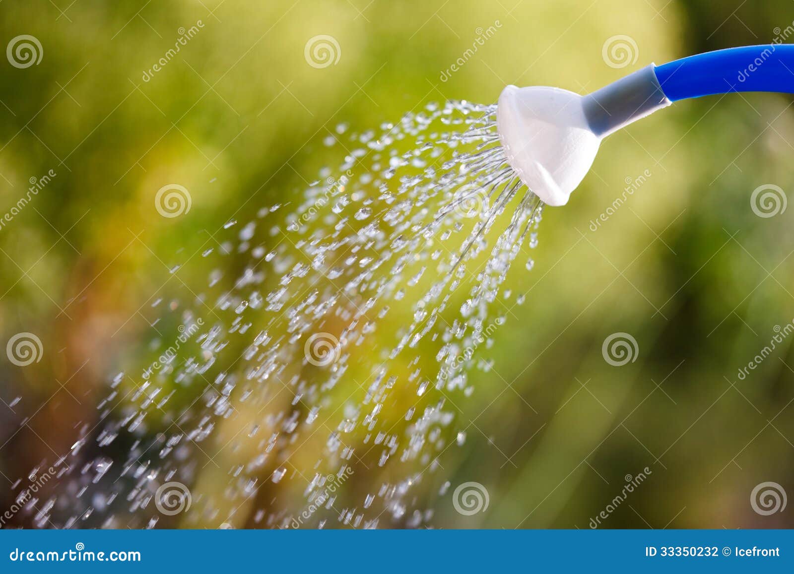 Irrigating with Sprinkling Can Stock Photo - Image of spreading, plant ...