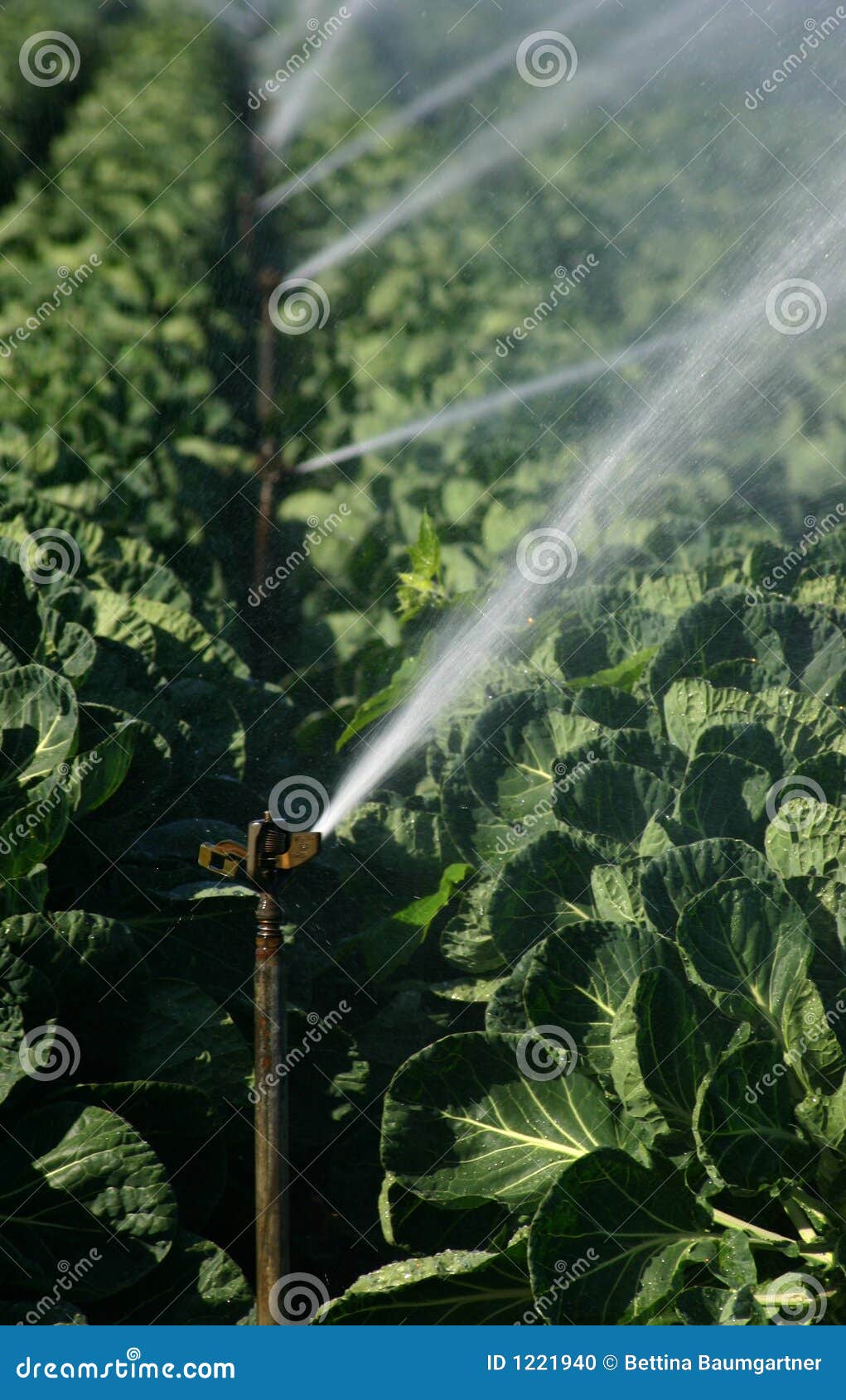 Irrigation stock photo. Image of industrial, agriculture - 1221940