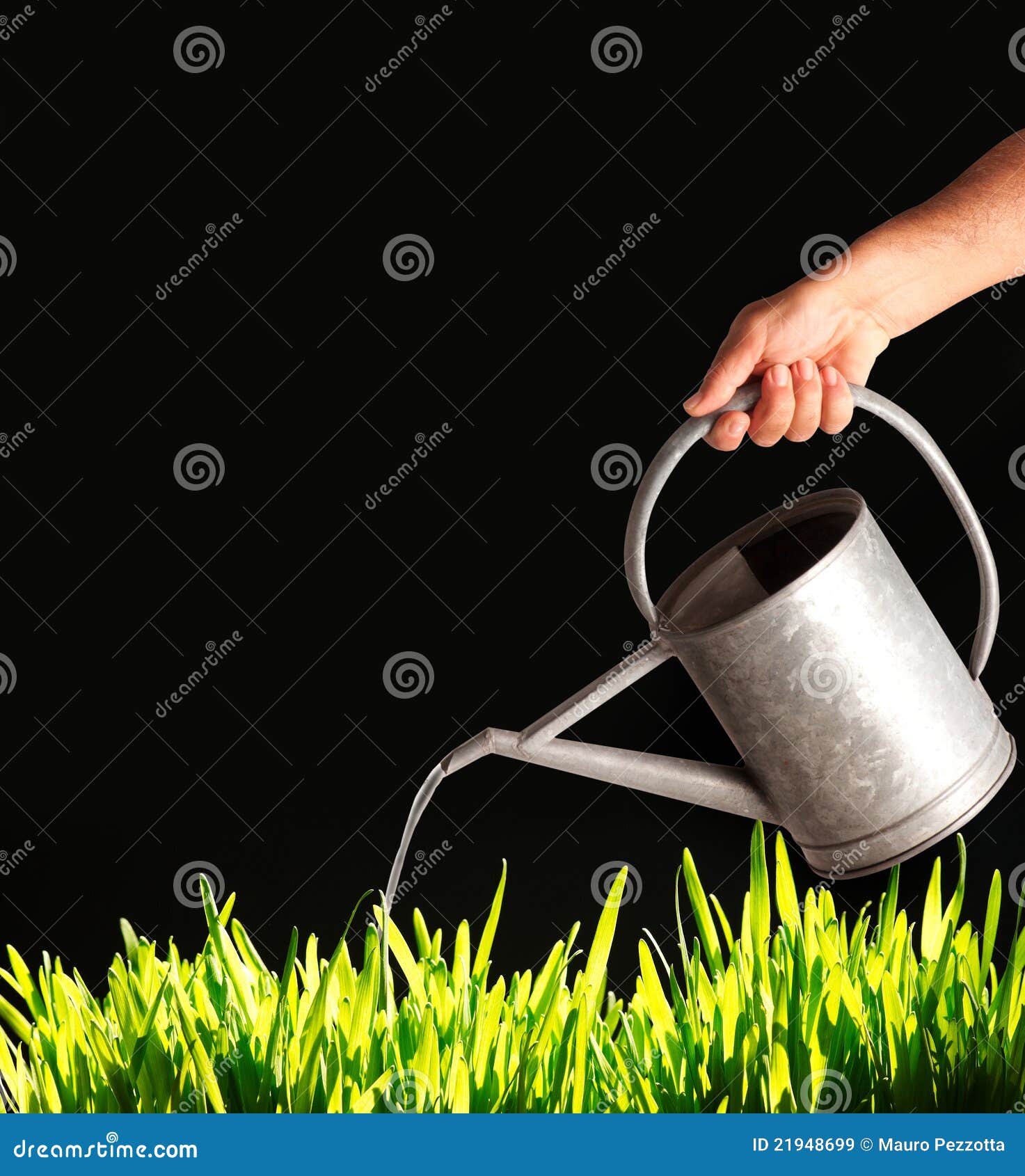 Irrigation stock image. Image of hand, watering, garden - 21948699