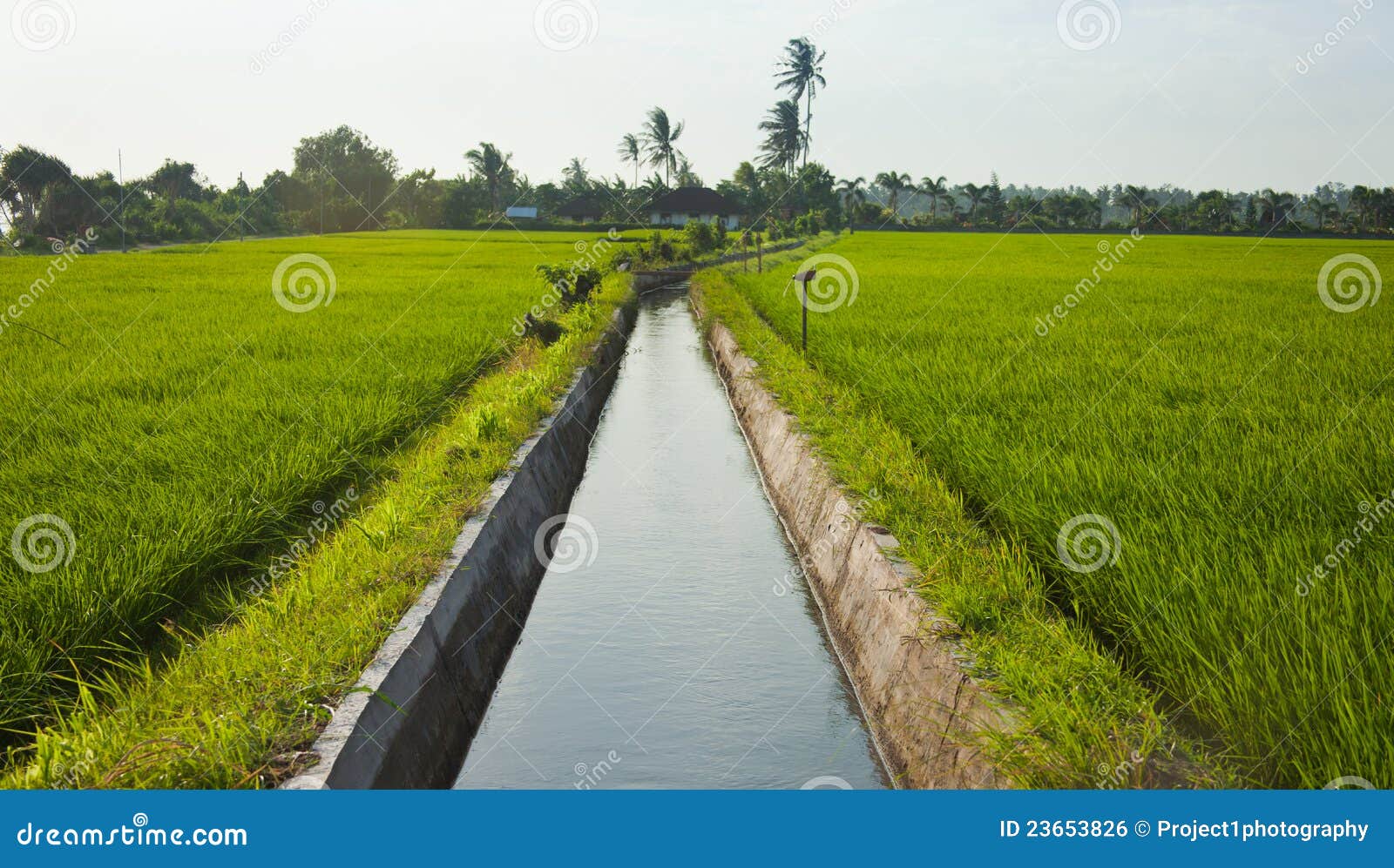 Irrigation stock photo. Image of farmland, flow, meadow - 23653826