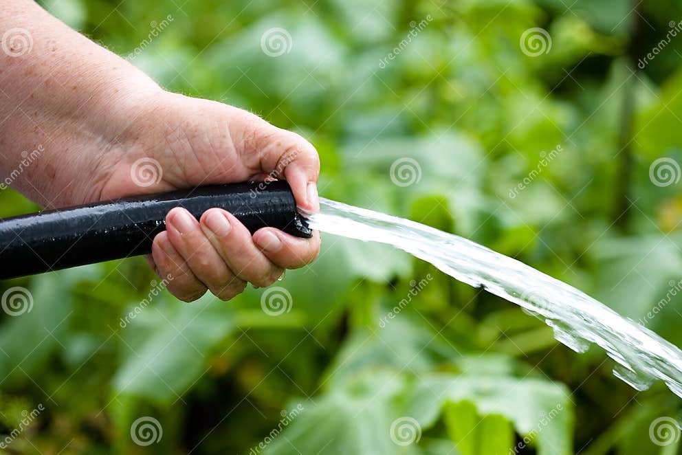 Irrigation stock photo. Image of grass, garden, irrigate - 3596396