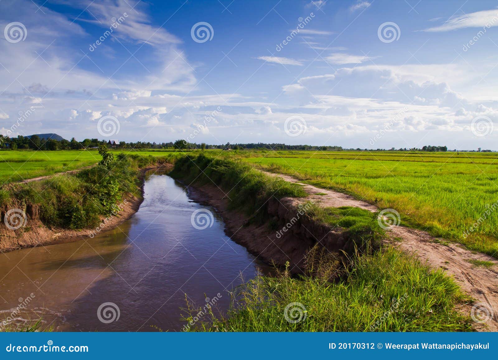 Irrigation canal stock photo. Image of industry, crop - 20170312