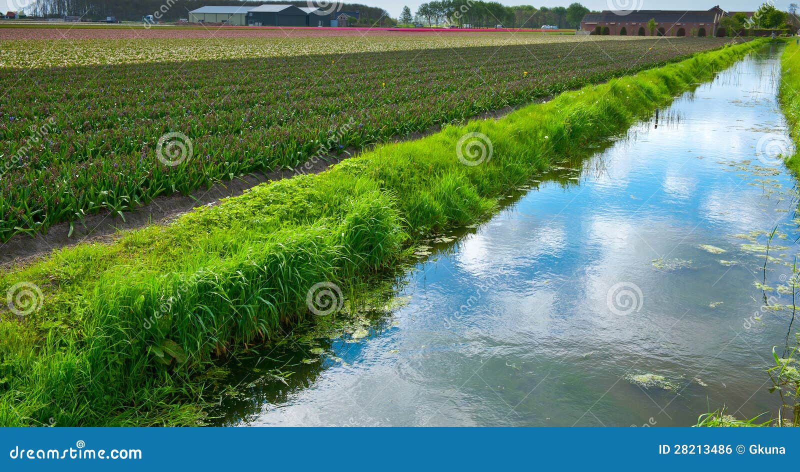Irrigation Canal stock photo. Image of landscape, floral - 28213486