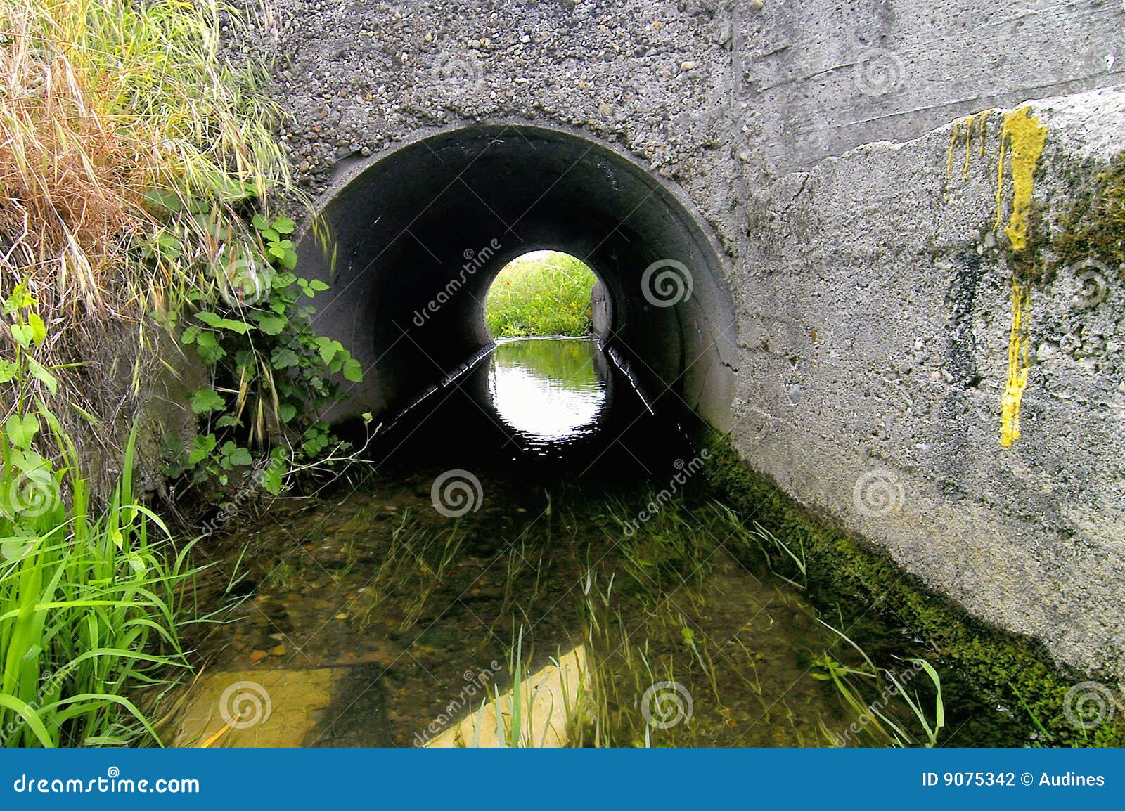 Irrigation canal stock photo. Image of dark, inside, detail - 9075342