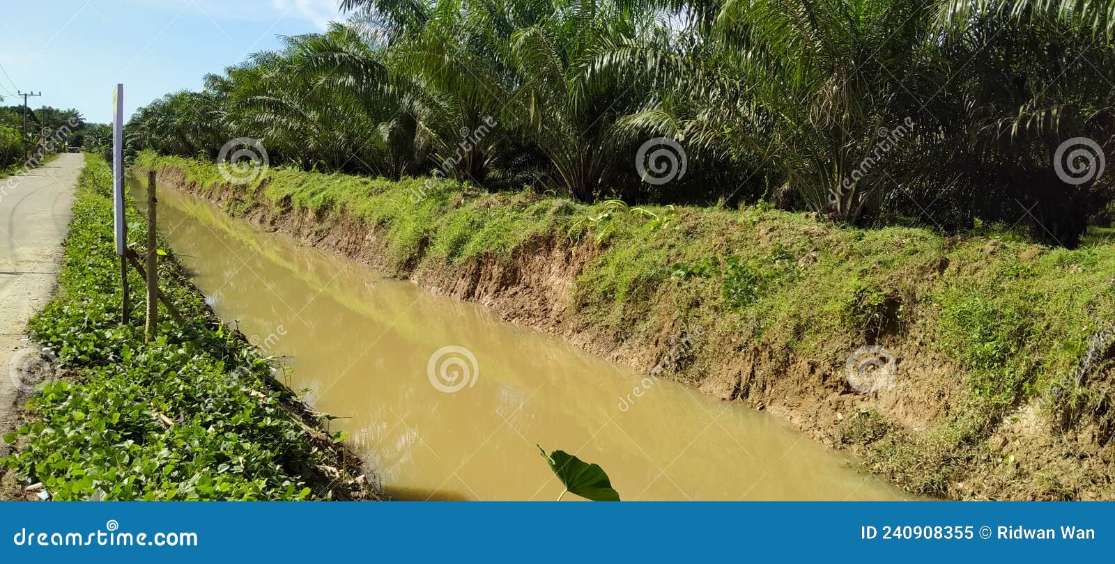 Irrigation Canal Cross Section Stock Image - Image of canal, river ...