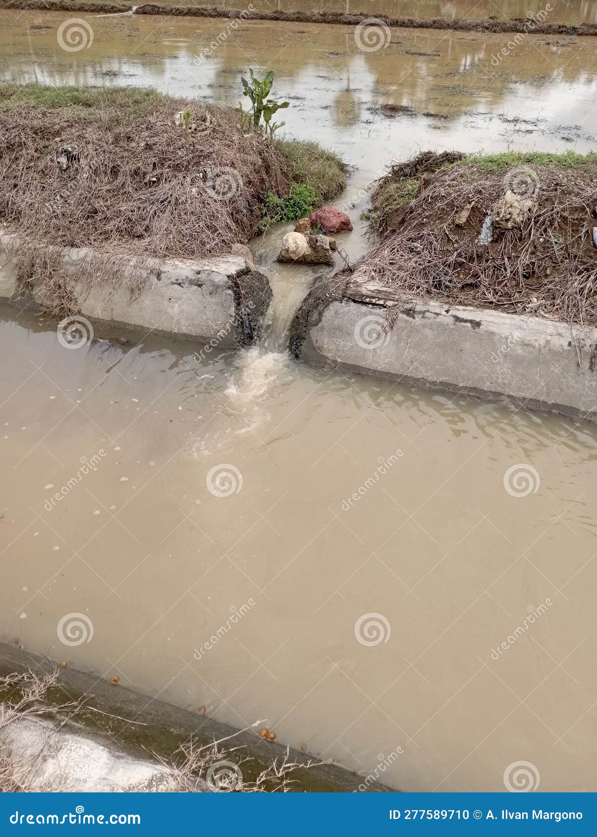 Irrigation canal damage stock photo. Image of damage - 277589710