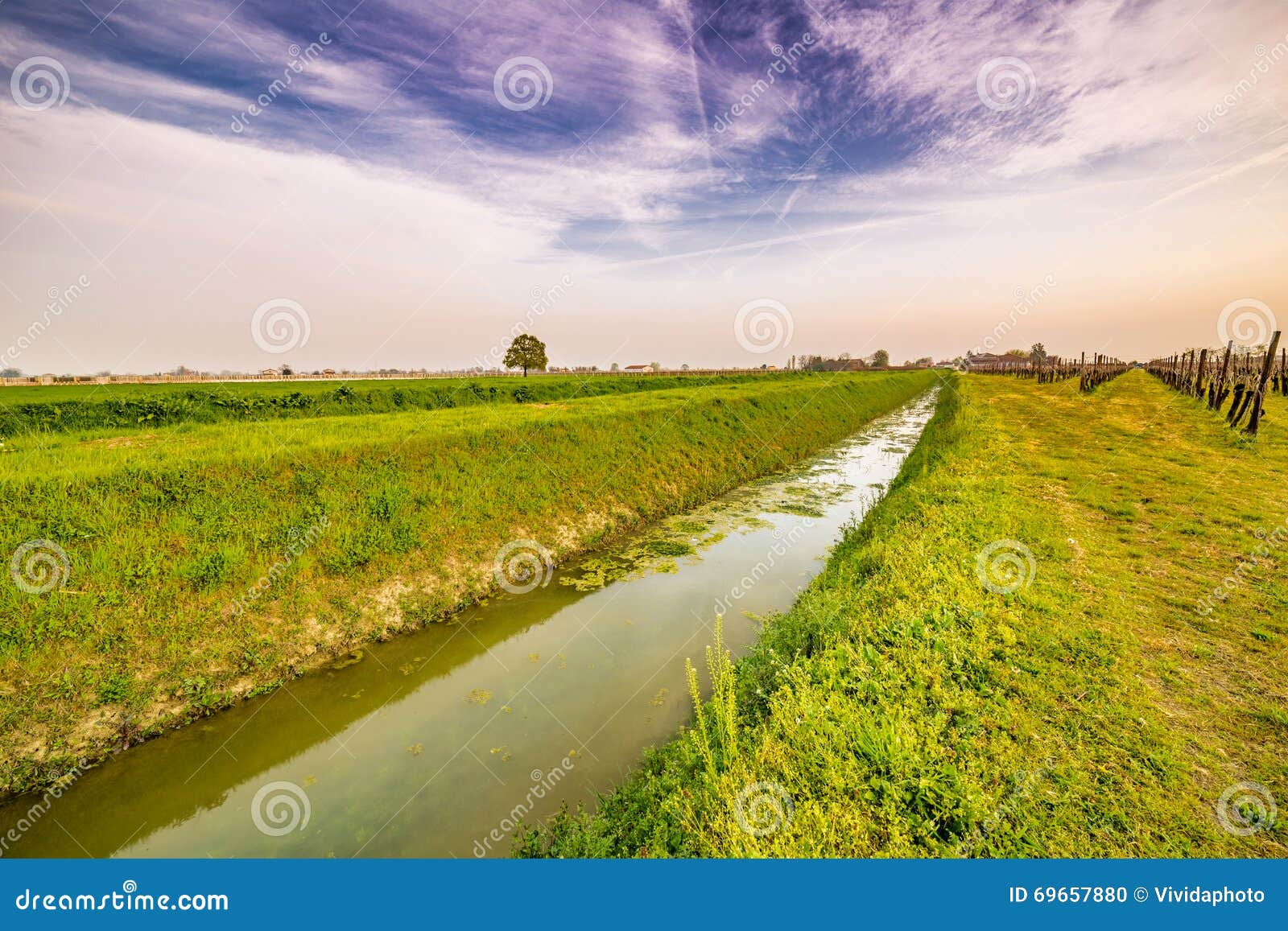 Irrigation Canal through the Fields Stock Photo - Image of horizon ...