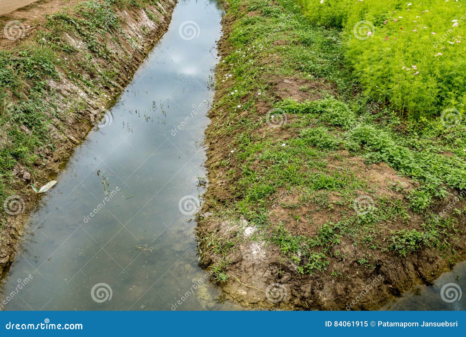 Irrigation Canal with Plants Stock Image - Image of outdoor, country ...