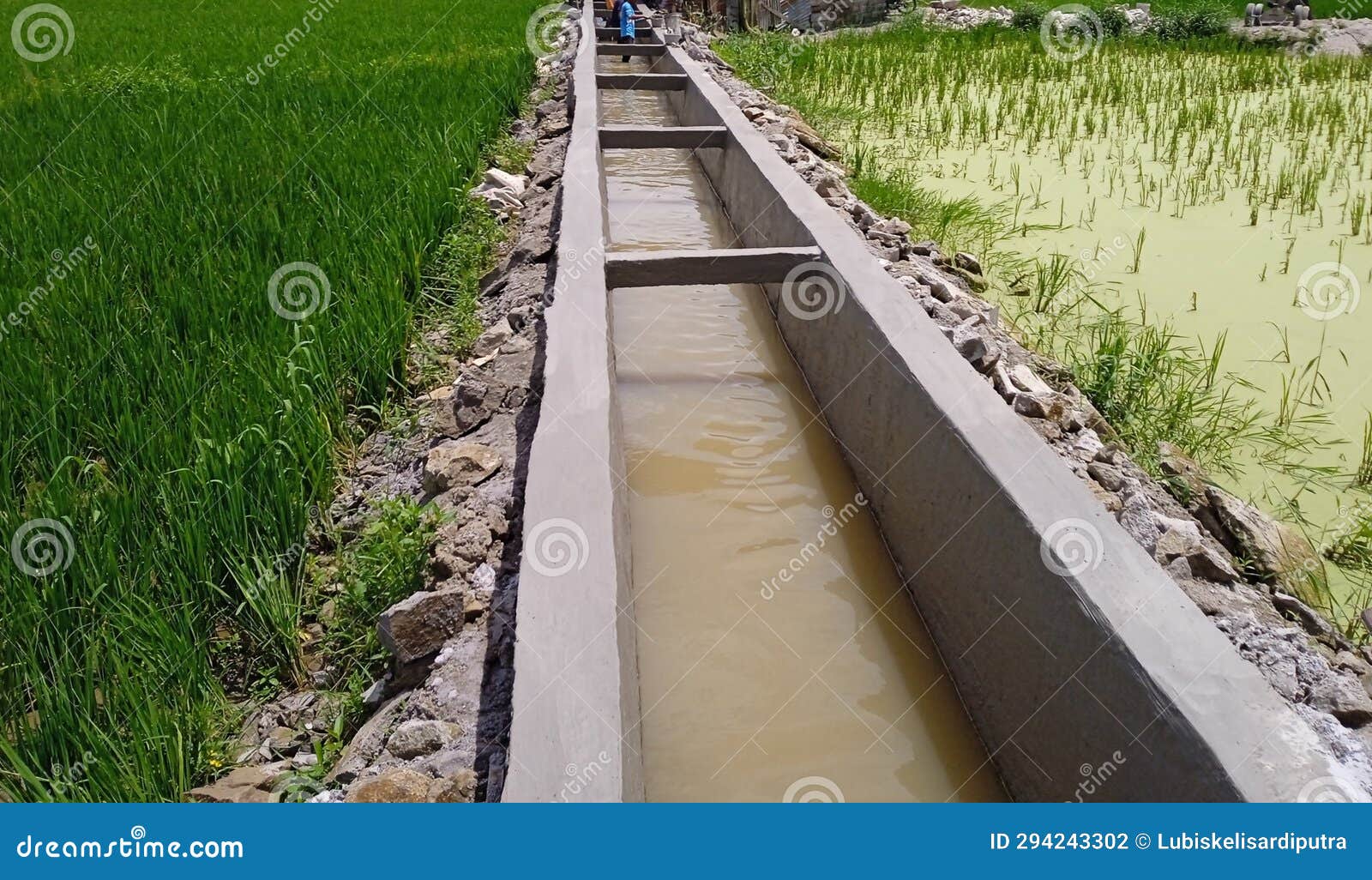 Irrigation canal system stock photo. Image of canal - 294243302