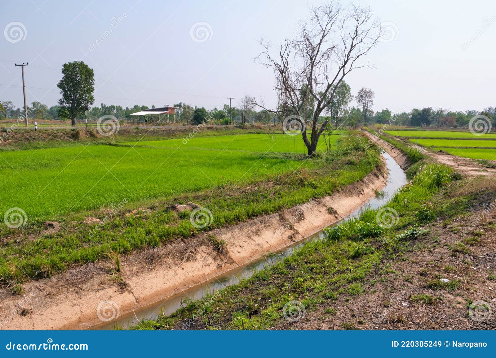Irrigation Canals Deliver Water for Agriculture Stock Image - Image of ...