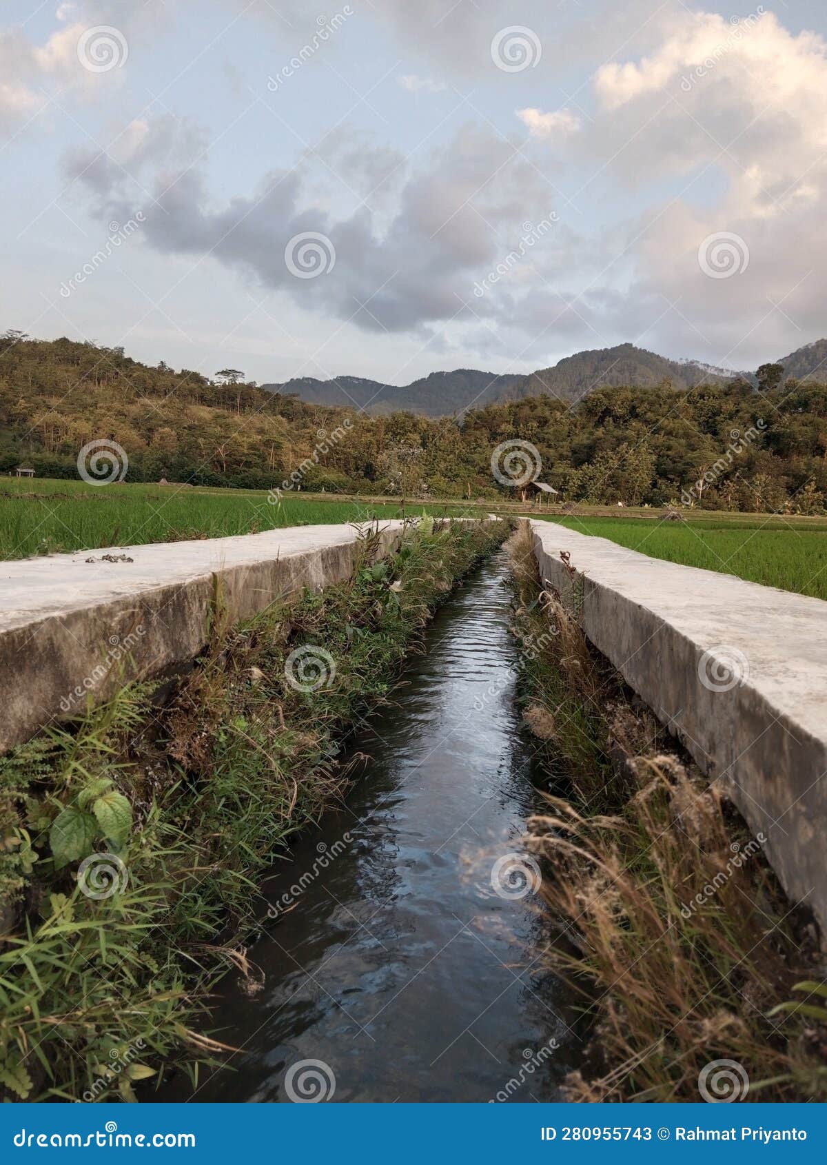 Irrigation Canals To Drain Water To the Fields Stock Image - Image of ...