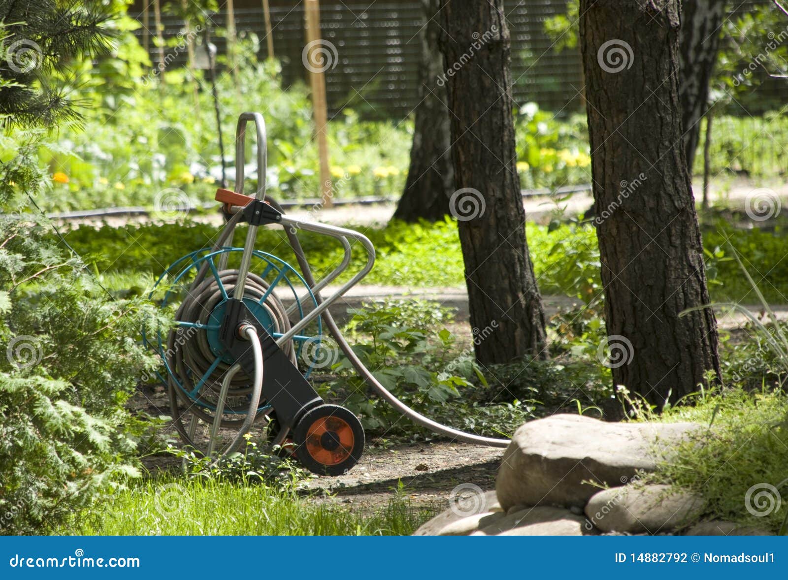 Irrigation cart in garden stock photo. Image of faucet - 14882792