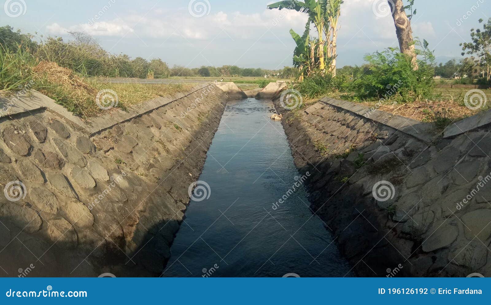 Irrigation Channels are Used To Irrigate Rice Fields. the River ...