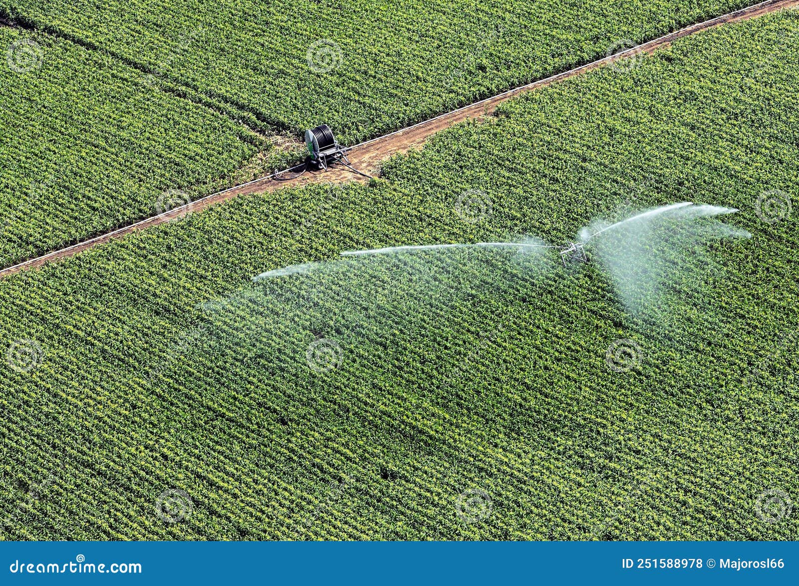 Irrigation on the Corn Field Aerial Photo Stock Photo - Image of people ...