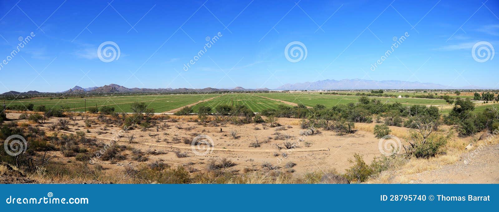Irrigation in the desert stock photo. Image of water - 28795740