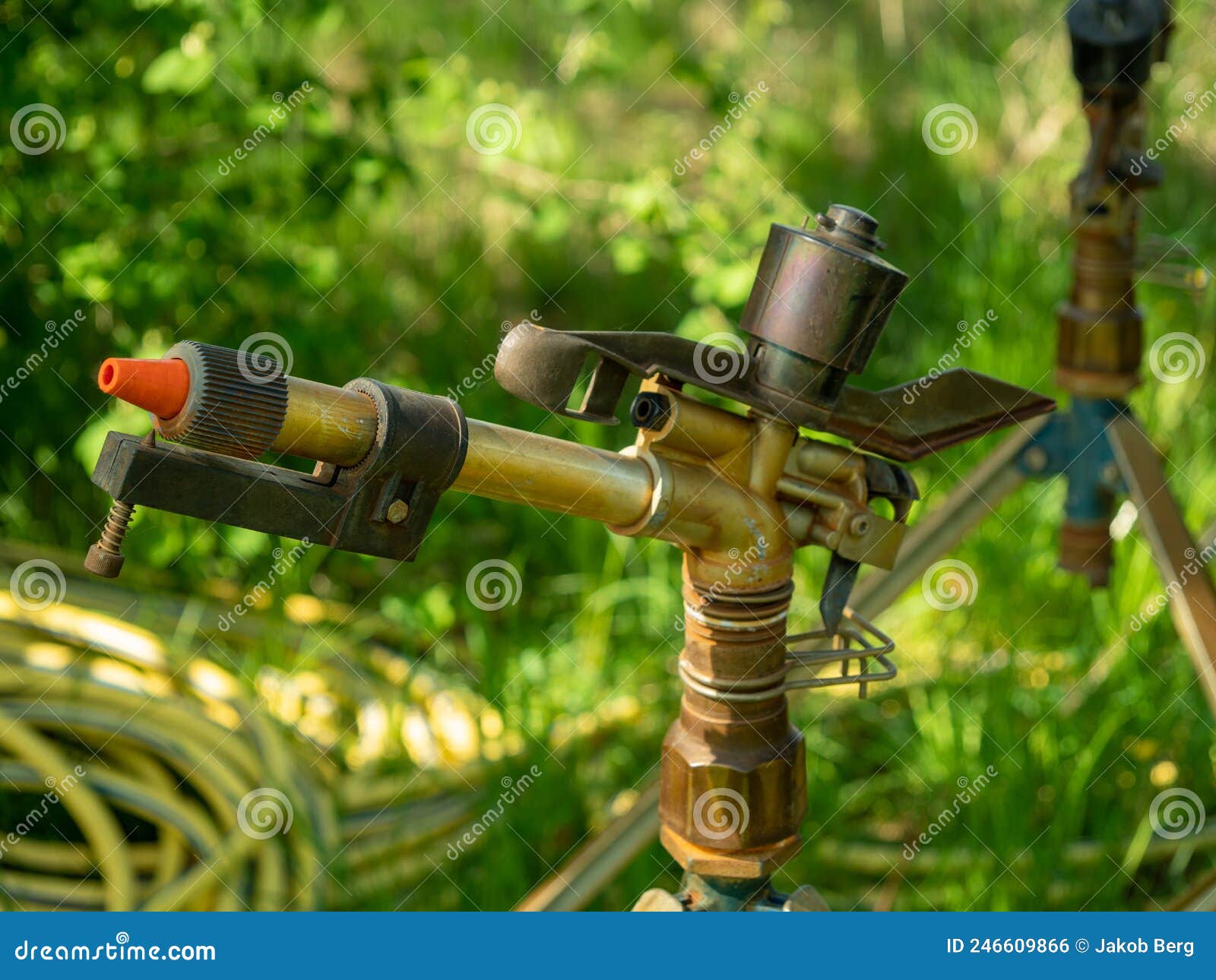 Irrigation Device in the Park. Water Sprinkler. Stock Photo - Image of ...