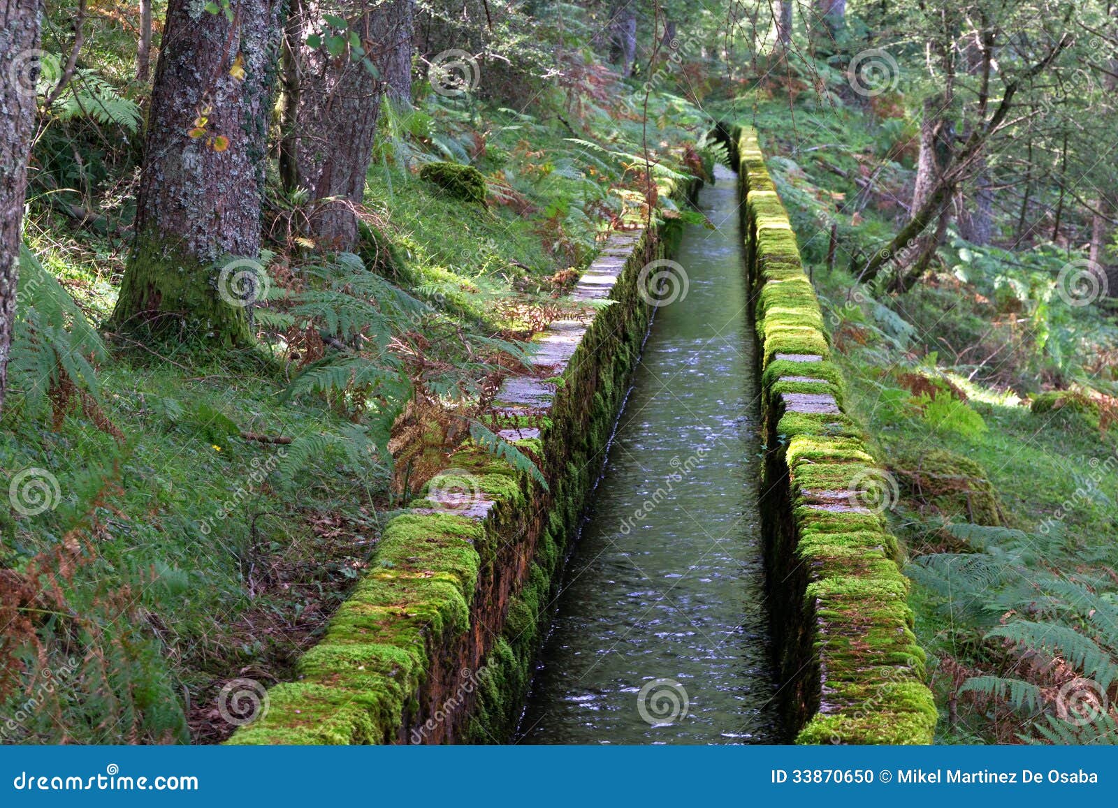 Irrigation Ditch for Water Channeling Stock Photo - Image of gutter ...