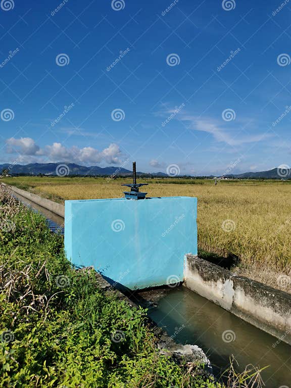 Irrigation and Drainage Systems in Paddy Fields. Stock Photo - Image of ...