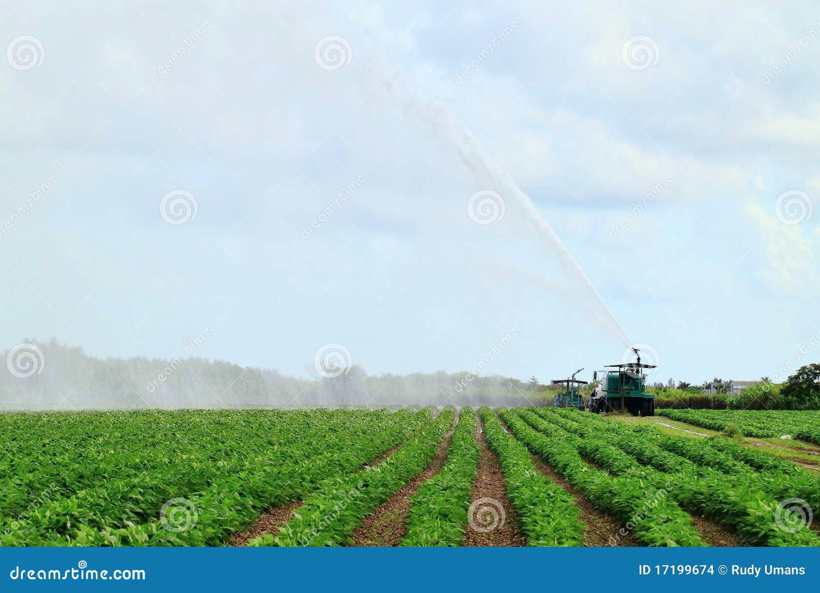 Irrigation Farm Land stock photo. Image of agriculture - 17199674