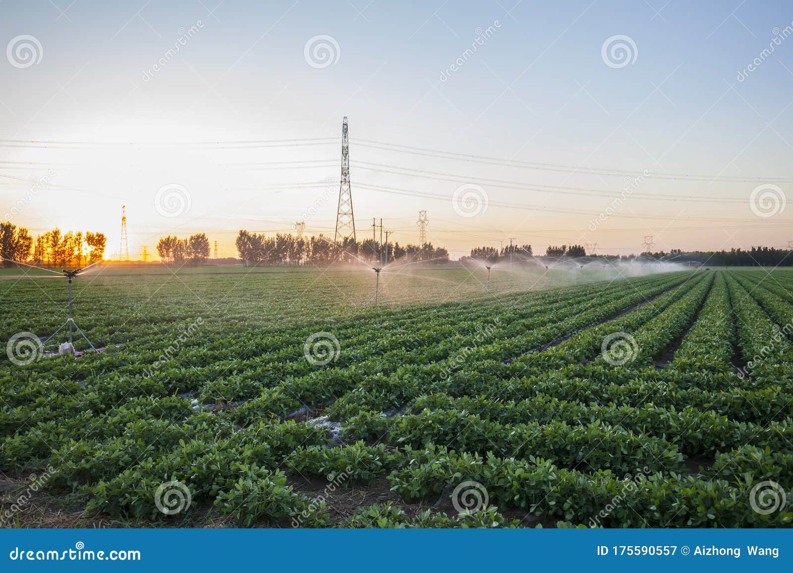 Irrigation farmland stock image. Image of system, technology - 175590557